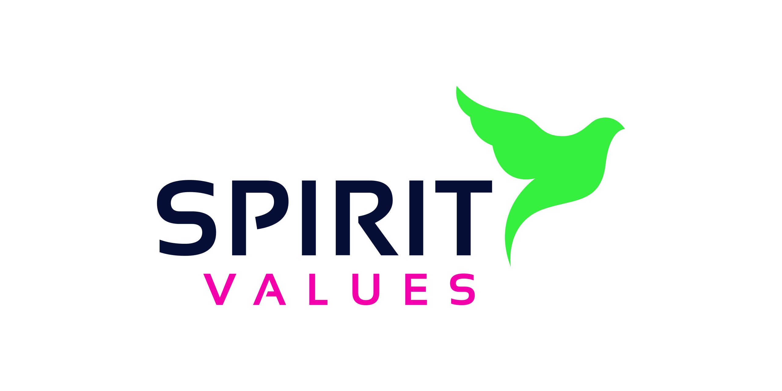 Spirit Values | Fortitude Nicsa Global